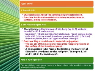 Ultra Structure of Prokaryotic Cell.pptx By Thirunahari Ugandhar | PPTX