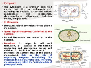 Ultra Structure of Prokaryotic Cell.pptx By Thirunahari Ugandhar | PPTX
