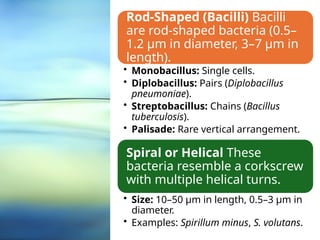 Ultra Structure of Prokaryotic Cell.pptx By Thirunahari Ugandhar | PPTX