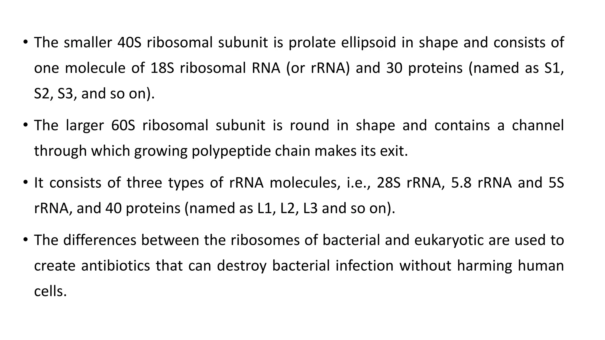 Ultra-structure of Ribosomes and functions | PPTX