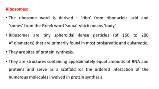 Ultra-structure of Ribosomes and functions | PPTX
