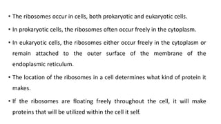 Ultra-structure of Ribosomes and functions | PPTX