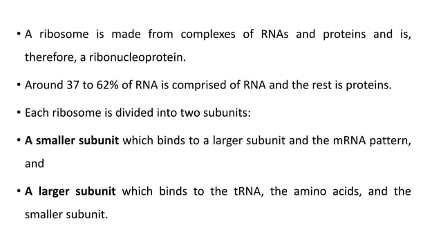 Ultra-structure of Ribosomes and functions | PPTX | Biological Sciences ...