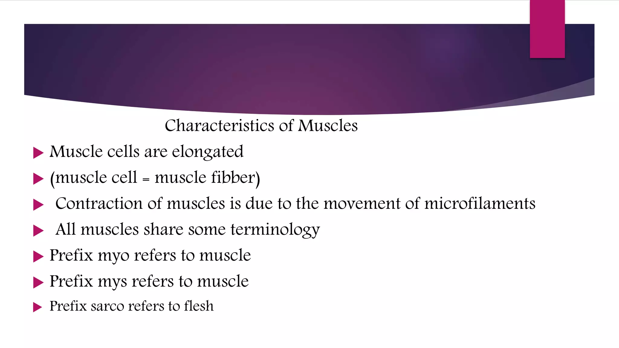 Ultrastructure of skeletal muscle | PPTX