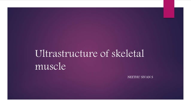 Ultrastructure of skeletal muscle | PPTX | Biological Sciences | Science