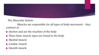 Ultrastructure of skeletal muscle | PPTX