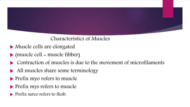 Ultrastructure of skeletal muscle | PPTX | Biological Sciences | Science