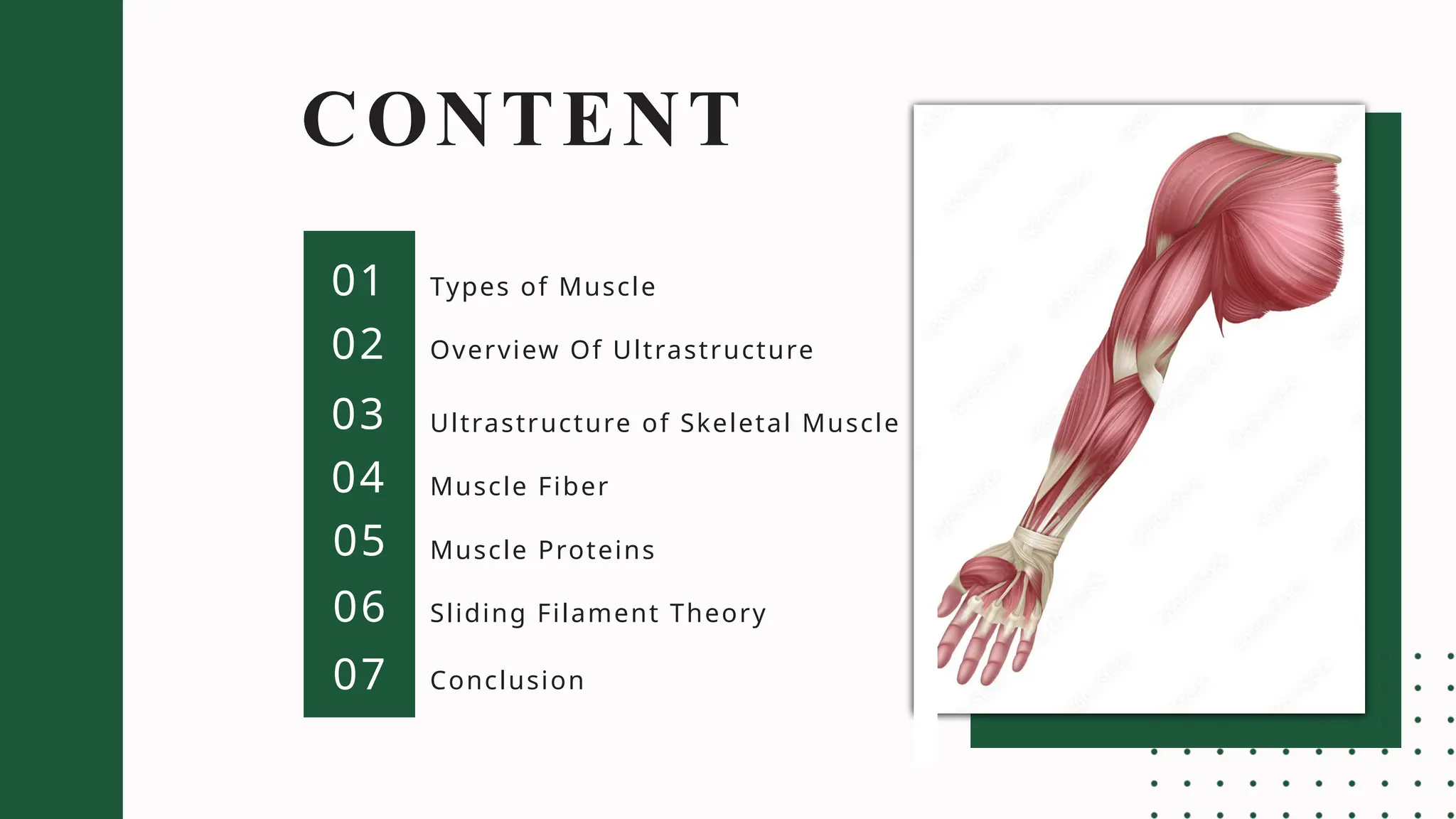 Ultrastructure of skeletal muscle...pptx