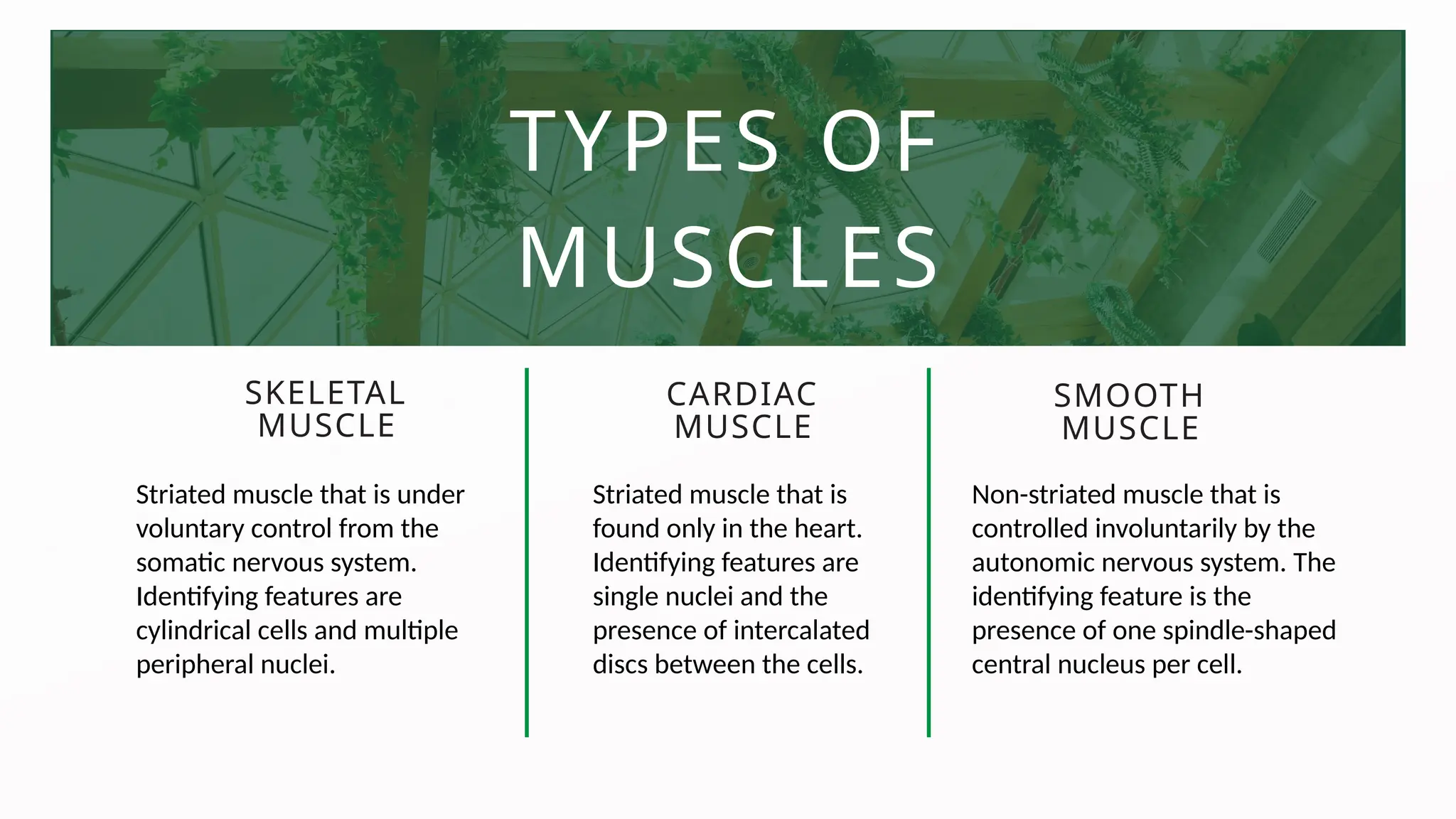 Ultrastructure of skeletal muscle...pptx