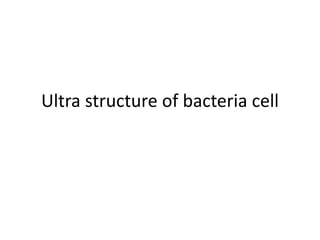 Ultra stucture of bacteria cell | PPTX