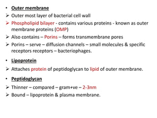 Ultra stucture of bacteria cell | PPTX