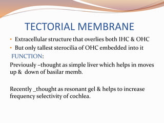 Ultra stuctures of cochlea & its central connections | PPTX