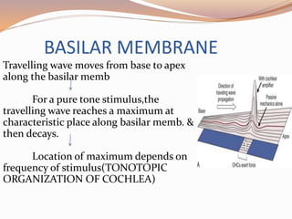 Ultra stuctures of cochlea & its central connections | PPT