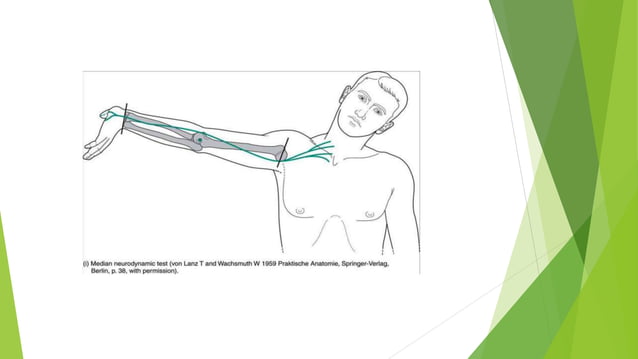 Upper Limb Tension Test of upper limb.pptx