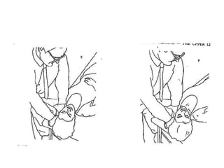 ultt26-03-2020-231022061259-7f0a393f.pdf