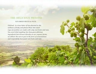 ULUFOOD DRIED FRUITS CATALOG | PDF