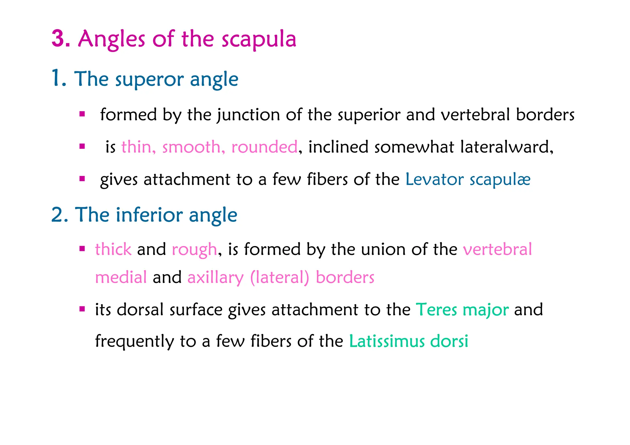 UL upper limb-1 anatomy,bonemuscle and neurovusculatur | PDF