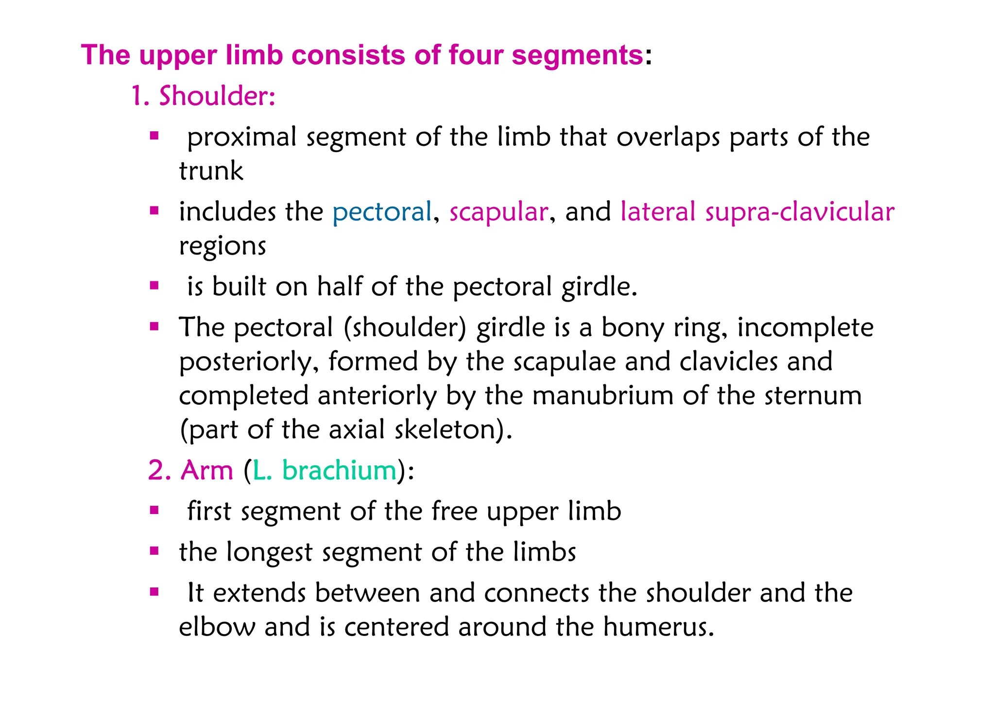 UL upper limb-1 anatomy,bonemuscle and neurovusculatur | PDF