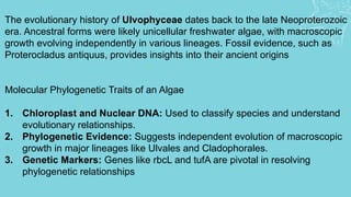 ULVOPHYCEAE Presentation (SUBJECT: PHYCOLOGY) | PPTX