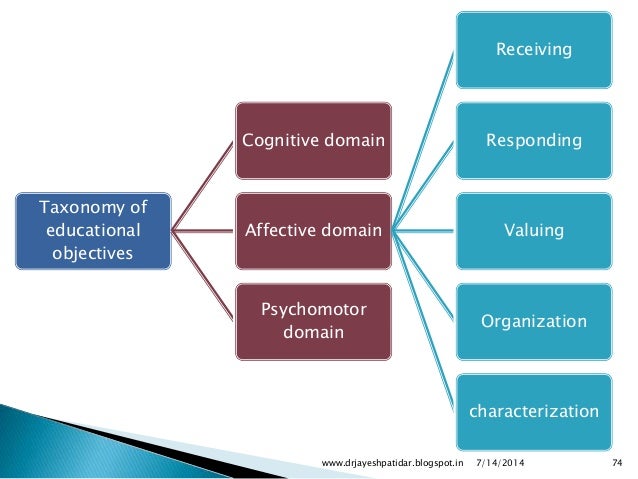 Principles of education and teaching learning process