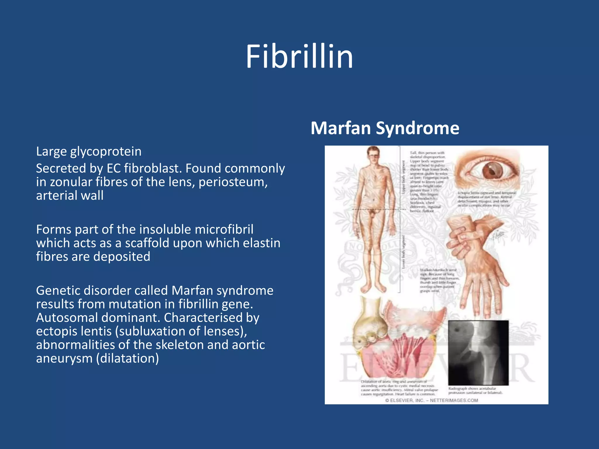 Extracellular matrix | PPTX
