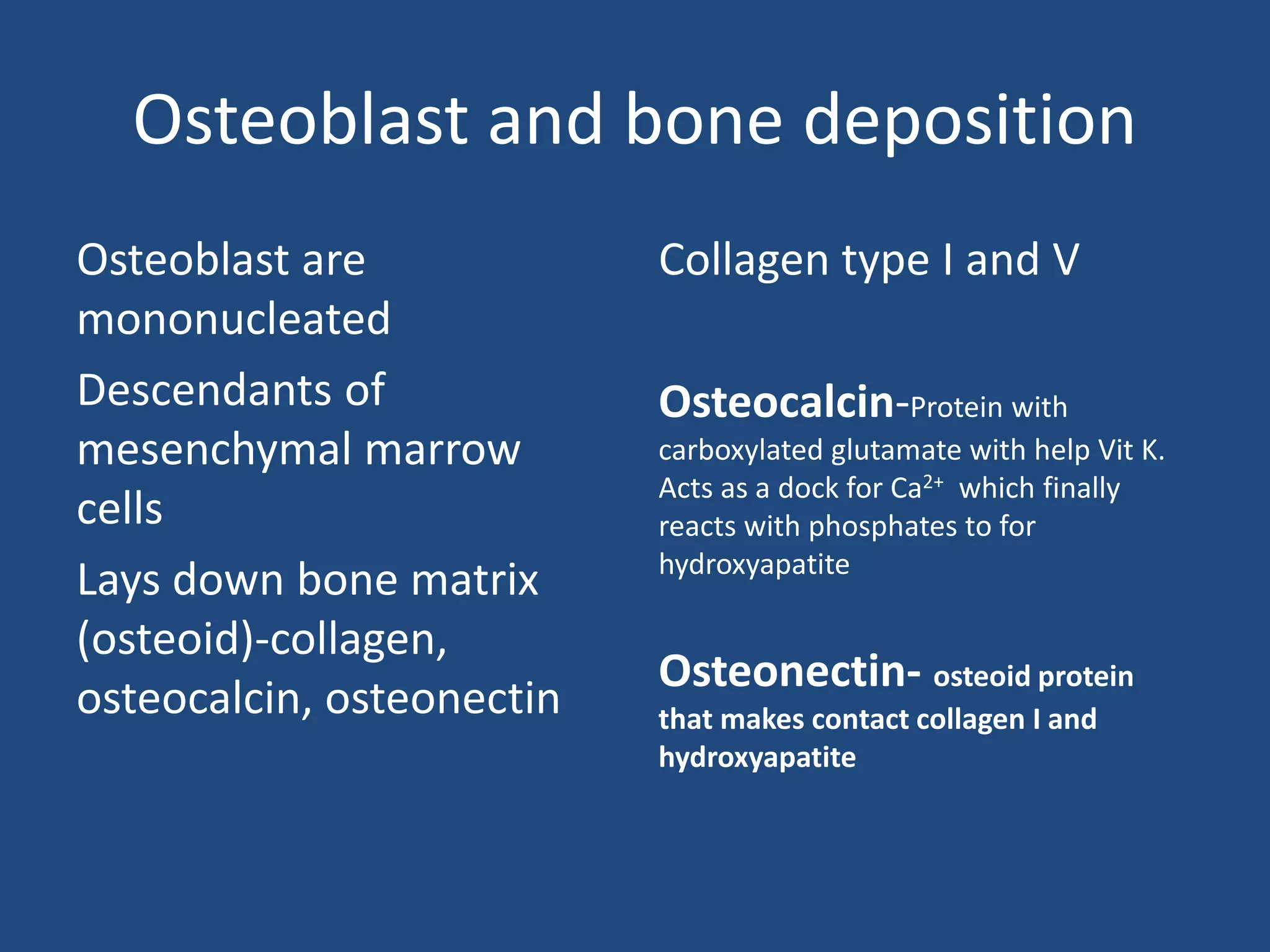 Extracellular matrix | PPTX