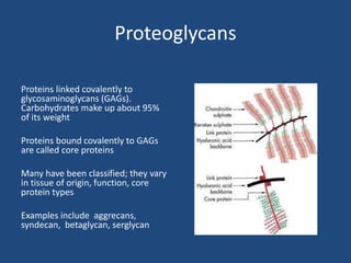 Extracellular matrix | PPTX