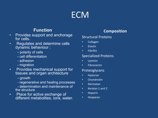 Extracellular matrix | PPTX