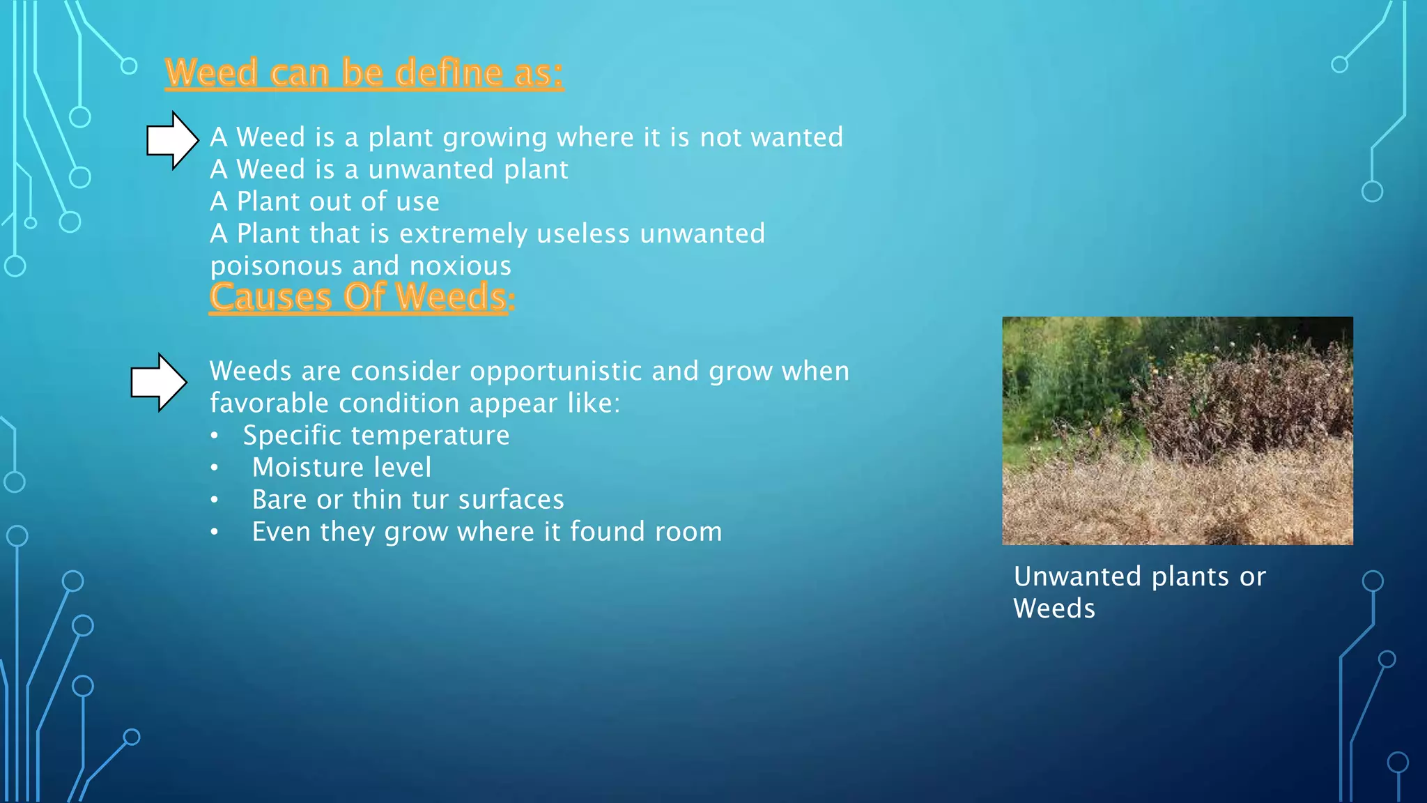 Weed management under changing climate | PPTX