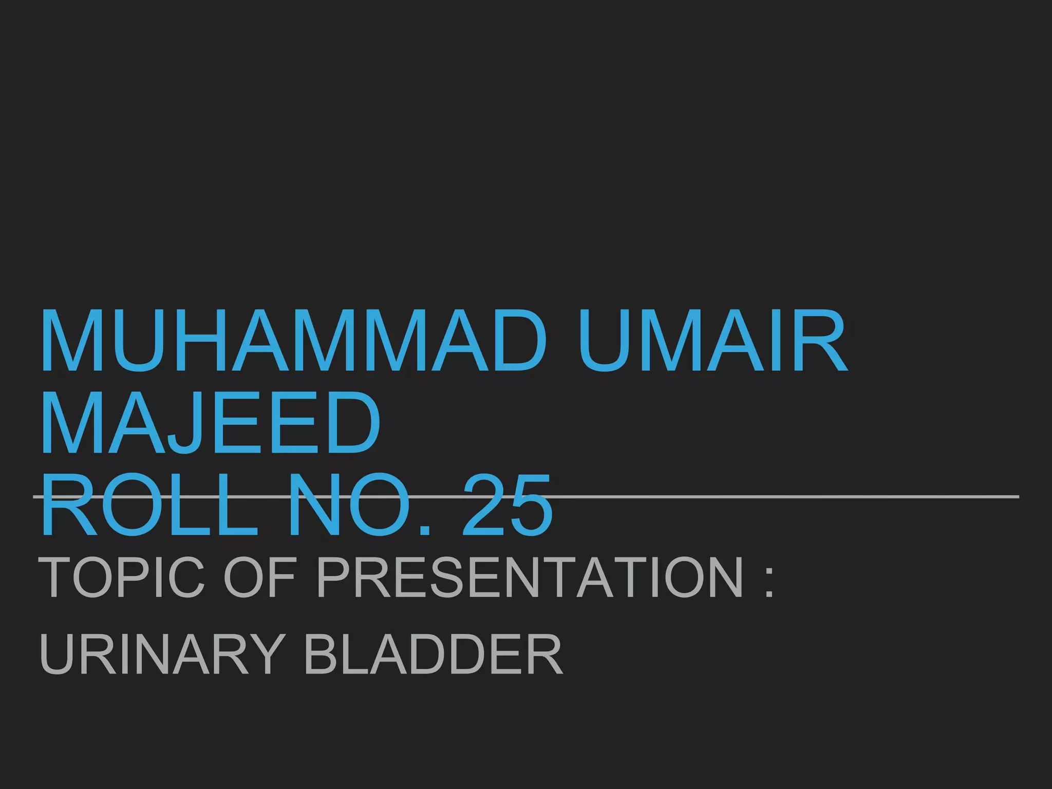 Anatomy Of Urinary Bladder | PPTX