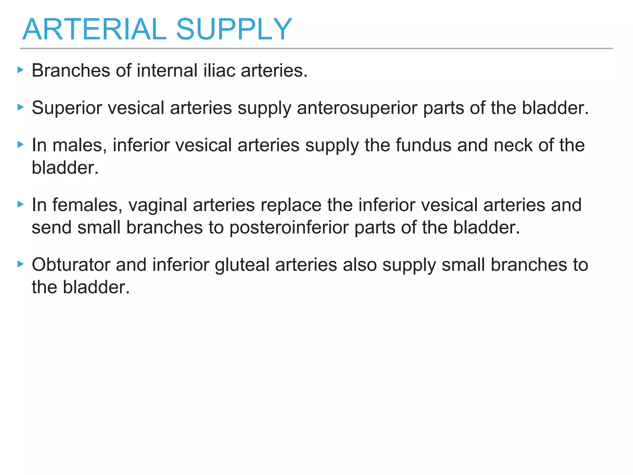 Anatomy Of Urinary Bladder | PPTX
