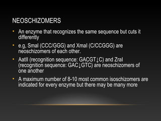 Isochizomers | PPT