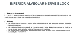 HEAD REGION NERVE BLOCK IN CAT & DOGS | PPTX