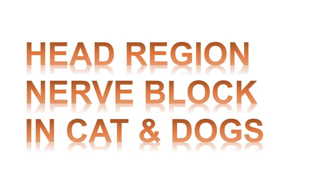 HEAD REGION NERVE BLOCK IN CAT & DOGS | PPTX | First Aid | Injuries