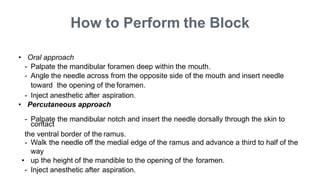 HEAD REGION NERVE BLOCK IN CAT & DOGS | PPTX