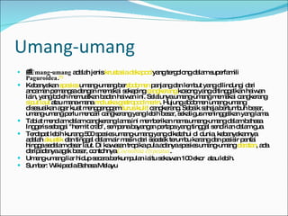 Umang Umang & Siput Laut | PPT
