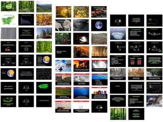 Umanotera Sustainability Visual Report | PPT | Free Download