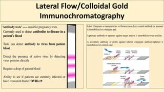 Covid-19 sample testing and lab diagnosis.pptx | Medical Tests ...
