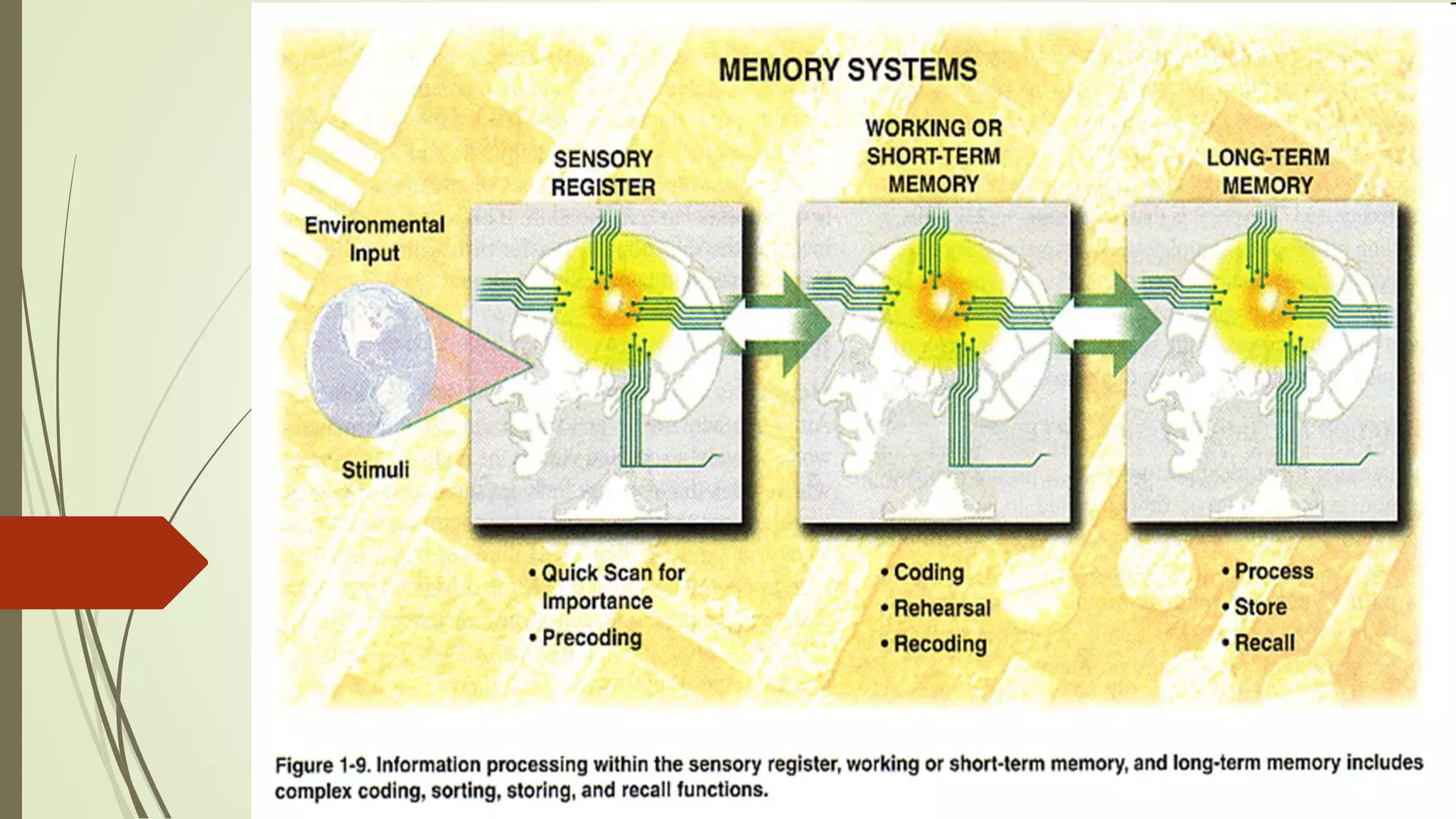 How to improve your memory | PPTX