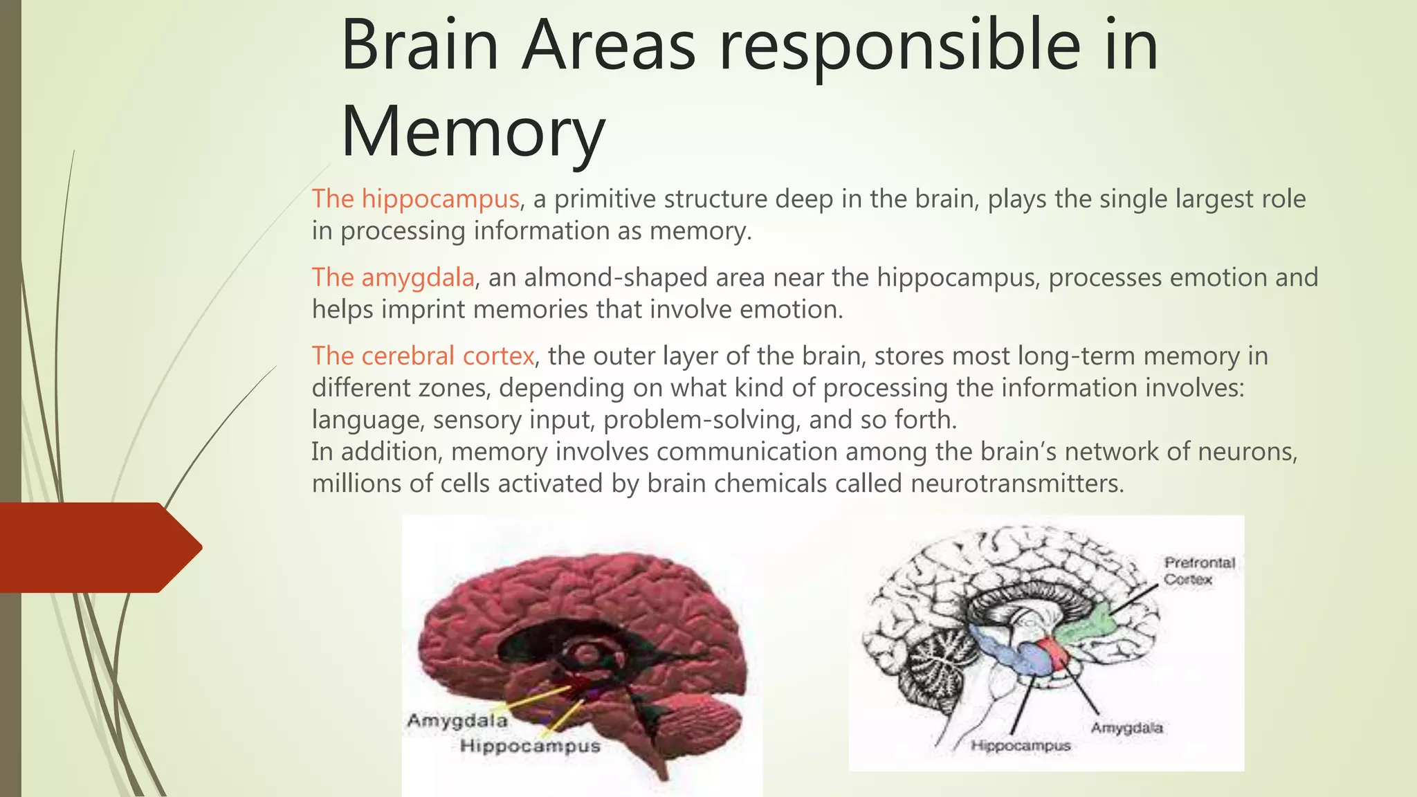 How to improve your memory | PPTX