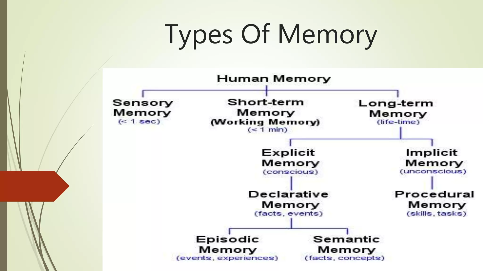 How to improve your memory | PPTX