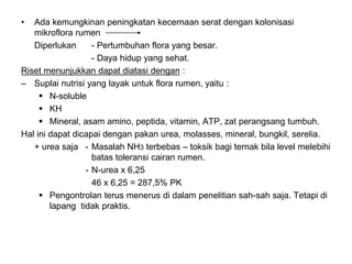UMB.ppt
