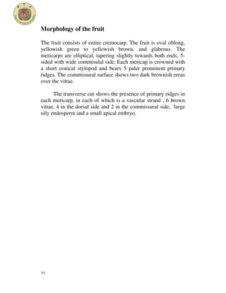 Umbelliferous fruits | PDF