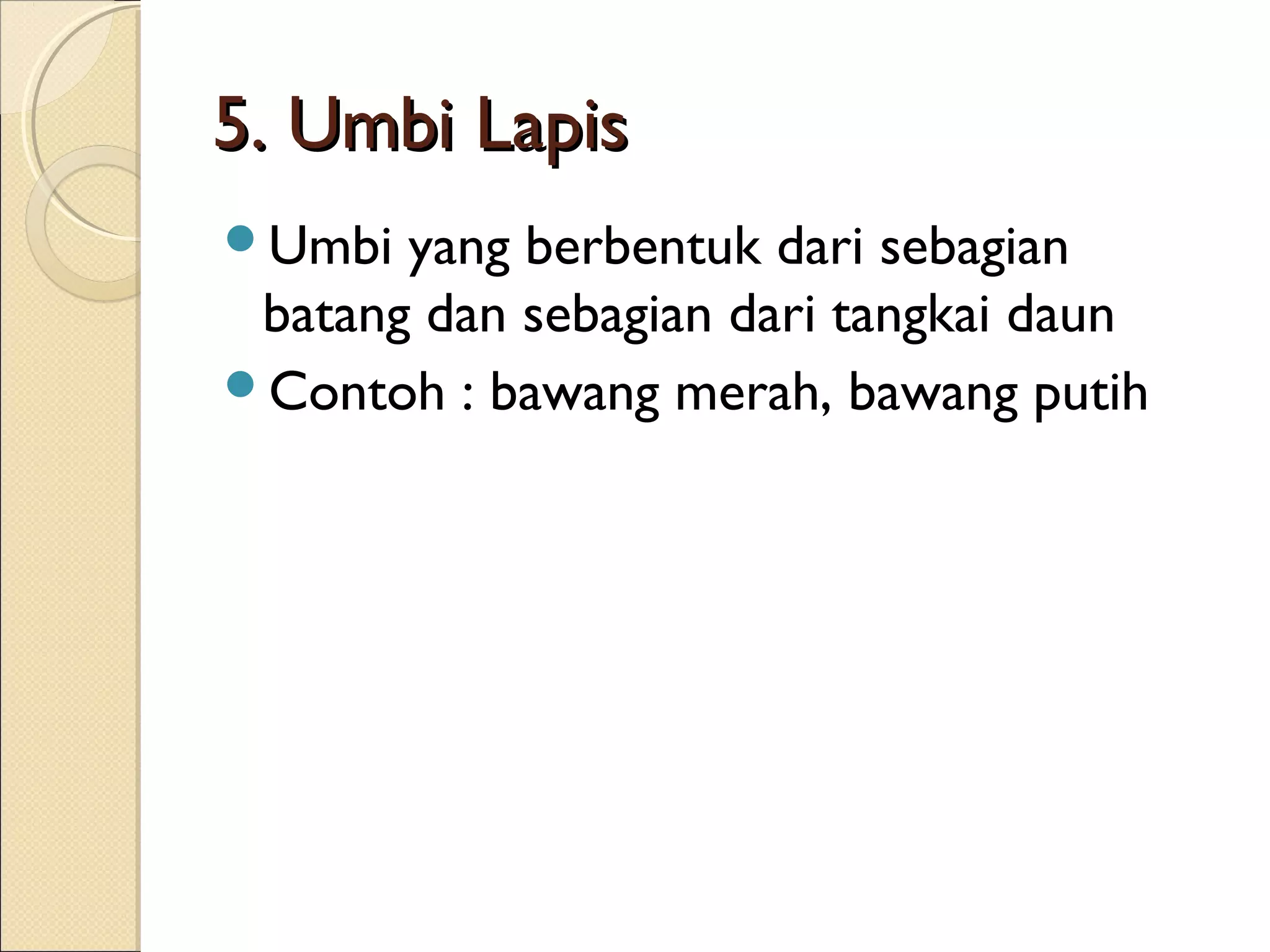 Umbi umbian | PPT