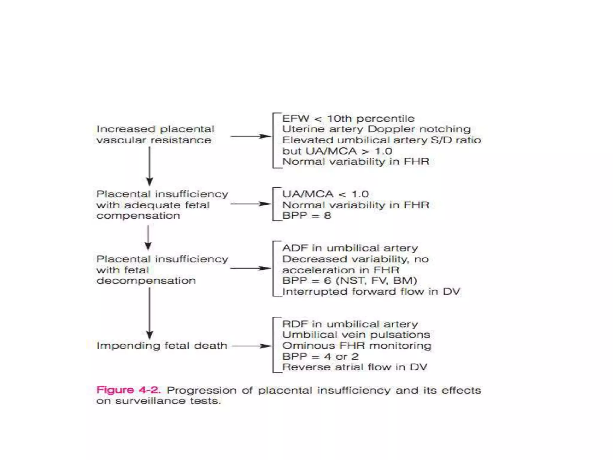 Umbilical artery doppler [1] | PPTX