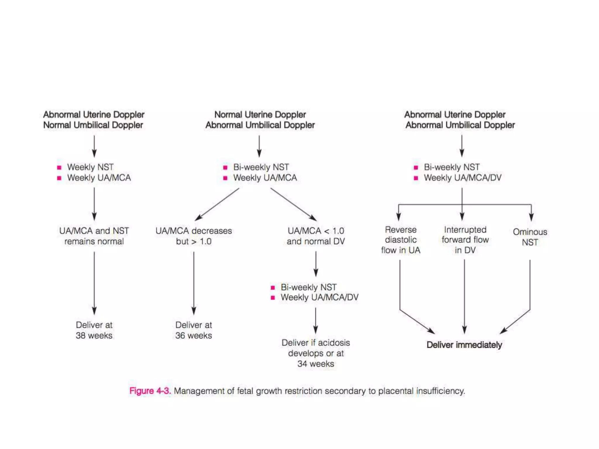 Umbilical artery doppler [1] | PPTX | Pregnancy | Reproductive Health
