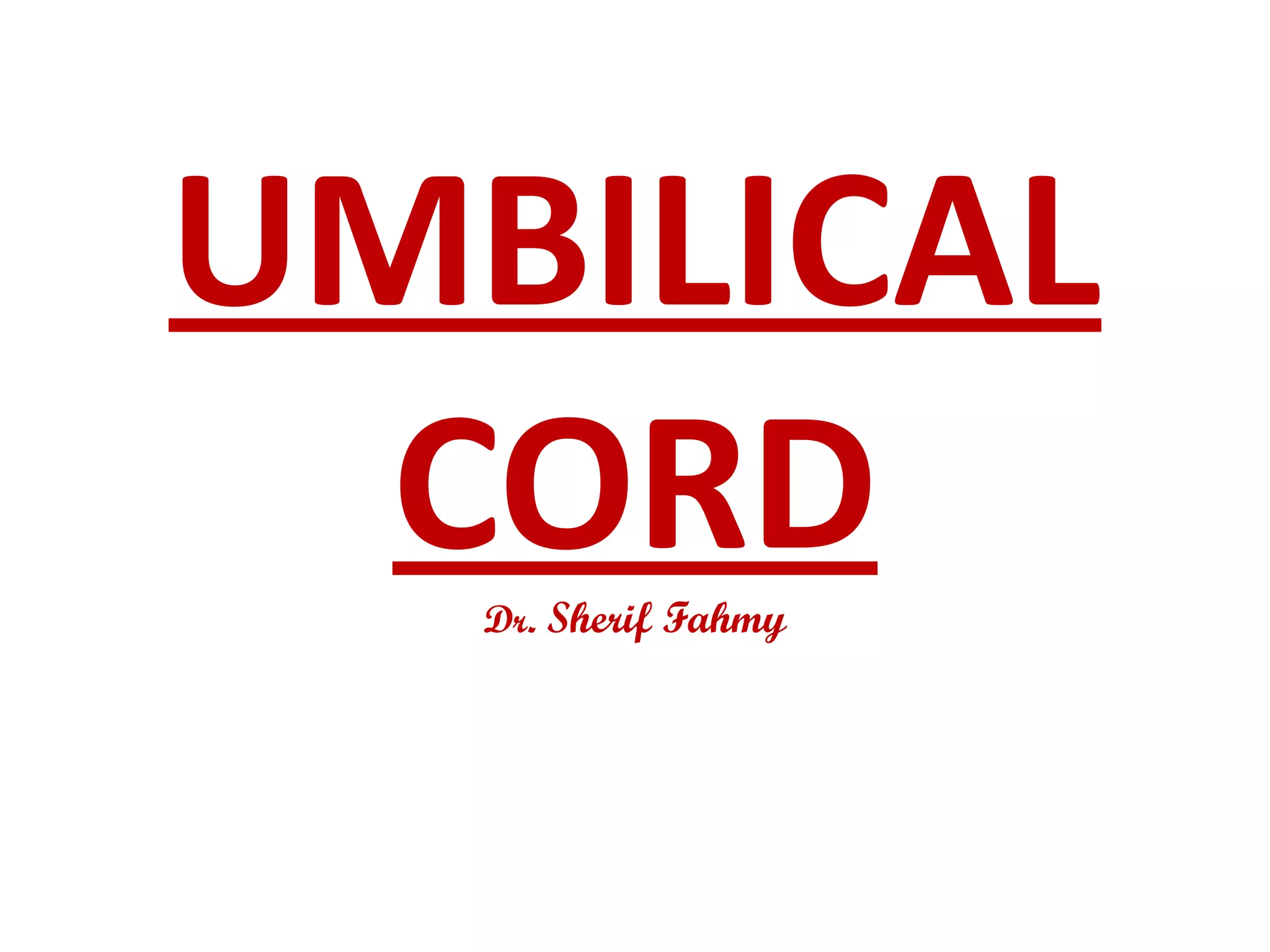 Umbilical Cord (General Embryology) | PPS