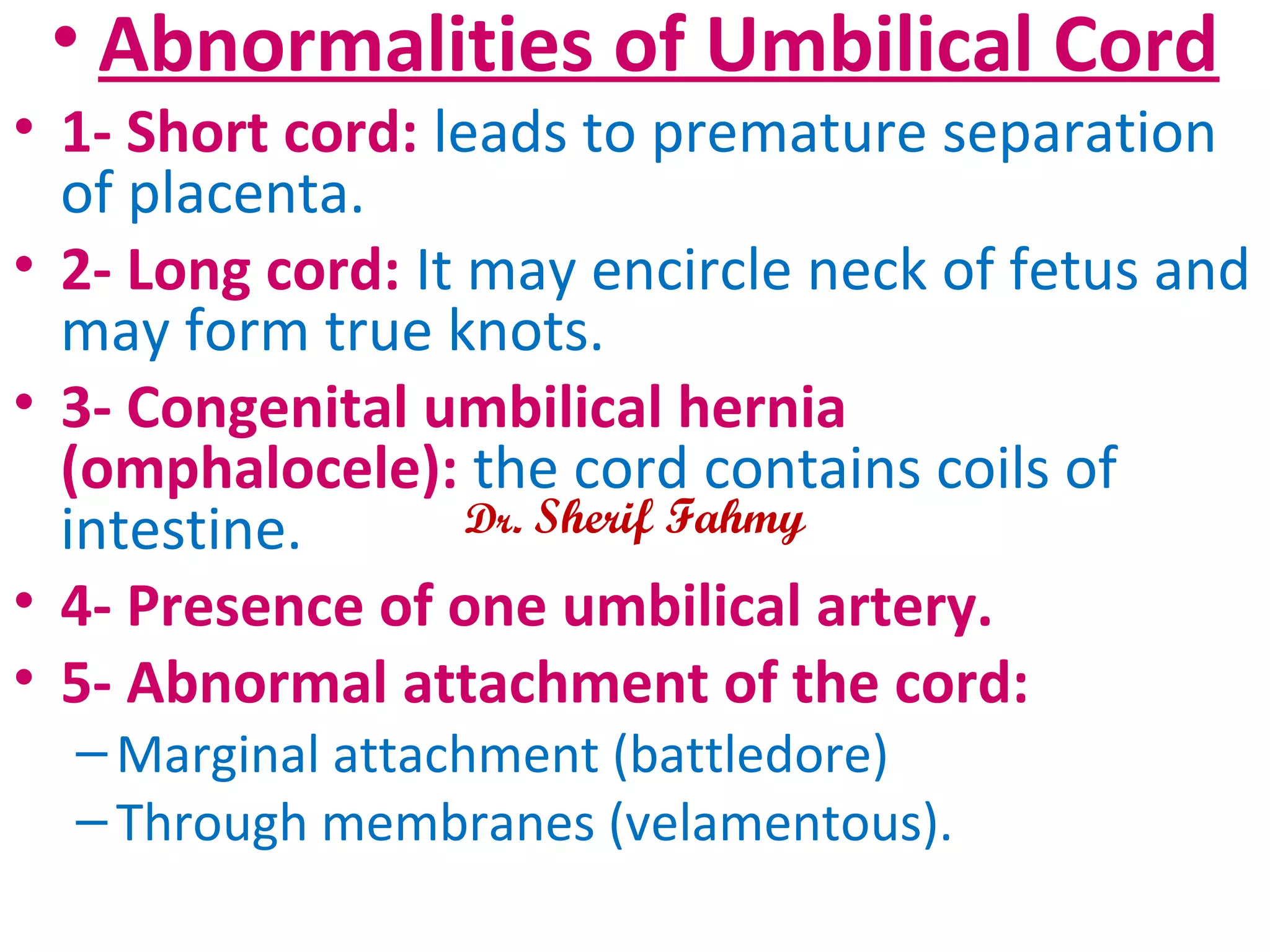 Umbilical Cord (General Embryology) | PPS