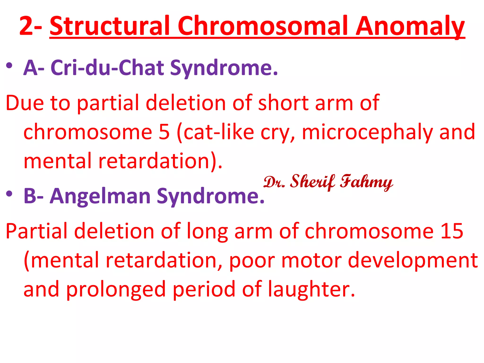 Umbilical Cord (General Embryology) | PPS