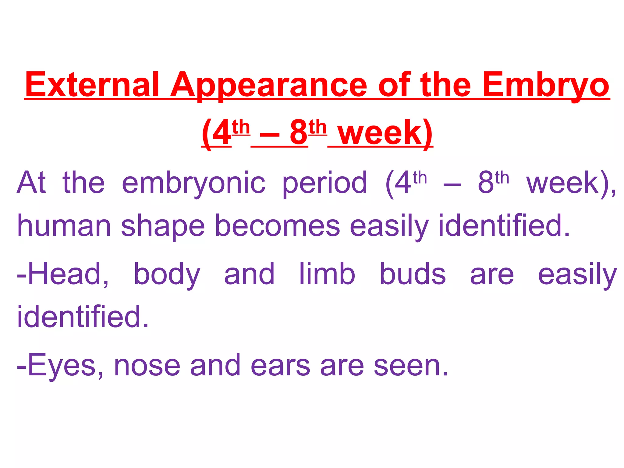 Umbilical Cord (General Embryology) | PPS